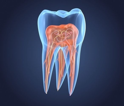 What Is a 3D Dental Scan? - My Dentist Toluca Lake